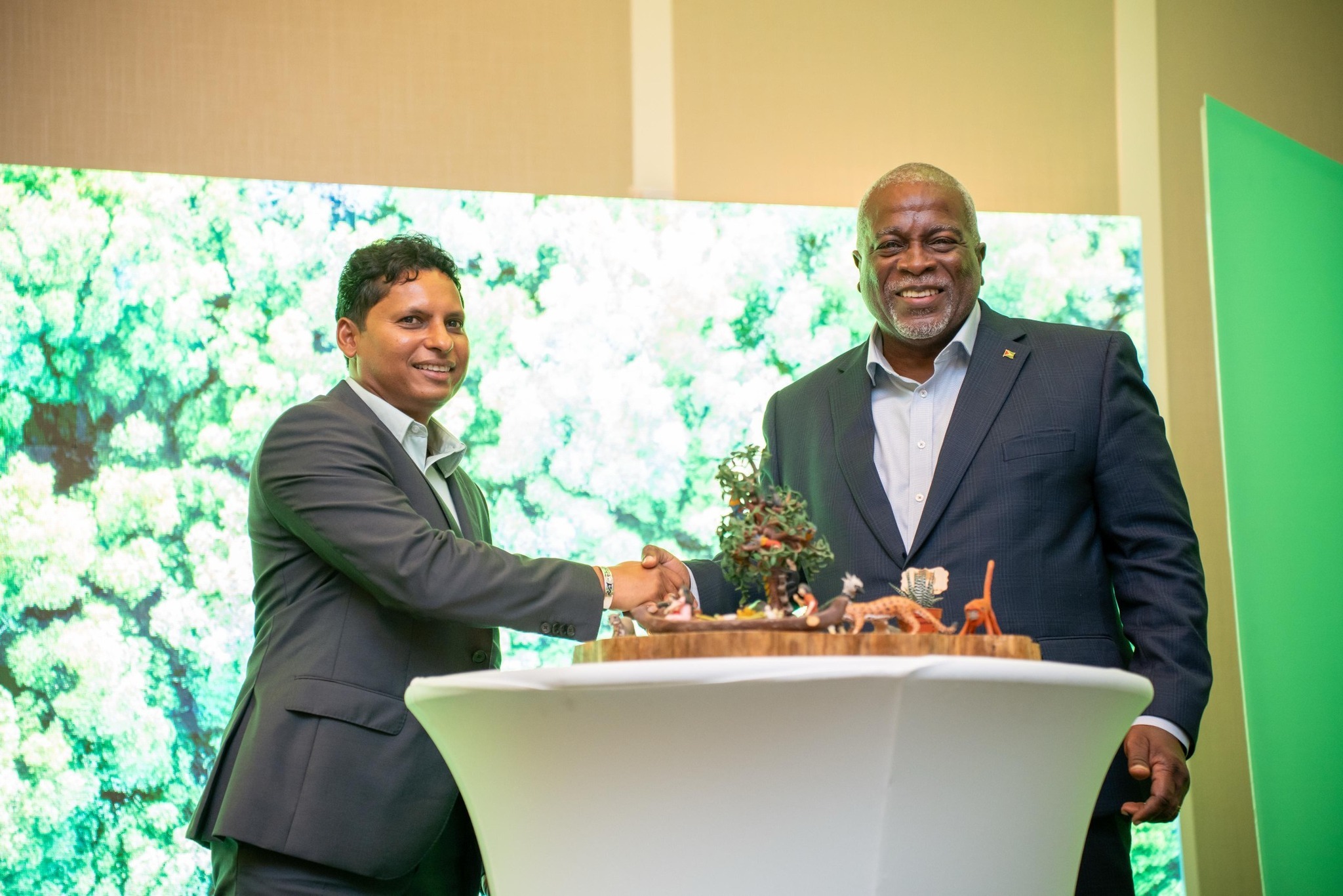 PM highlights critical role of EIAs in Guyana's sustainable development ...