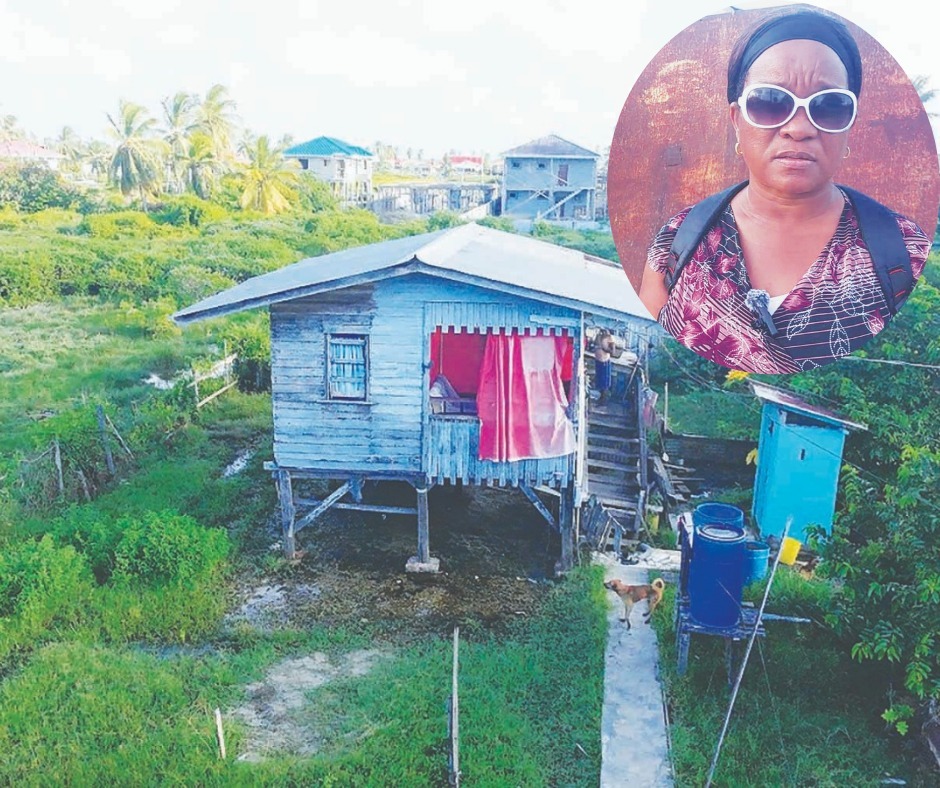 Visually-impaired mother faces hard times this Mother’s Day - INews Guyana