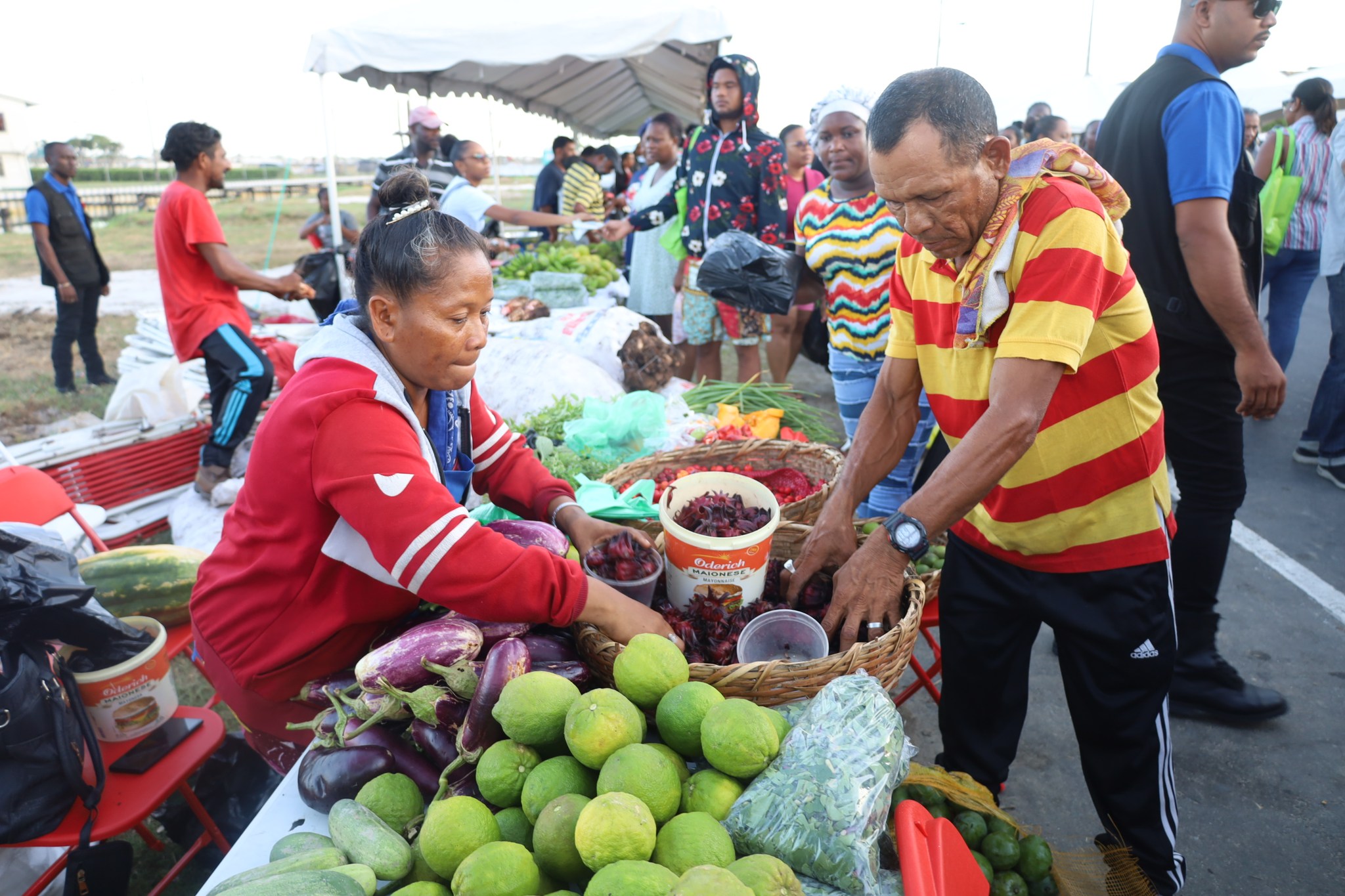Guyana to ink MOU with Bloomberg for food hub at Yarrowkabra - INews Guyana